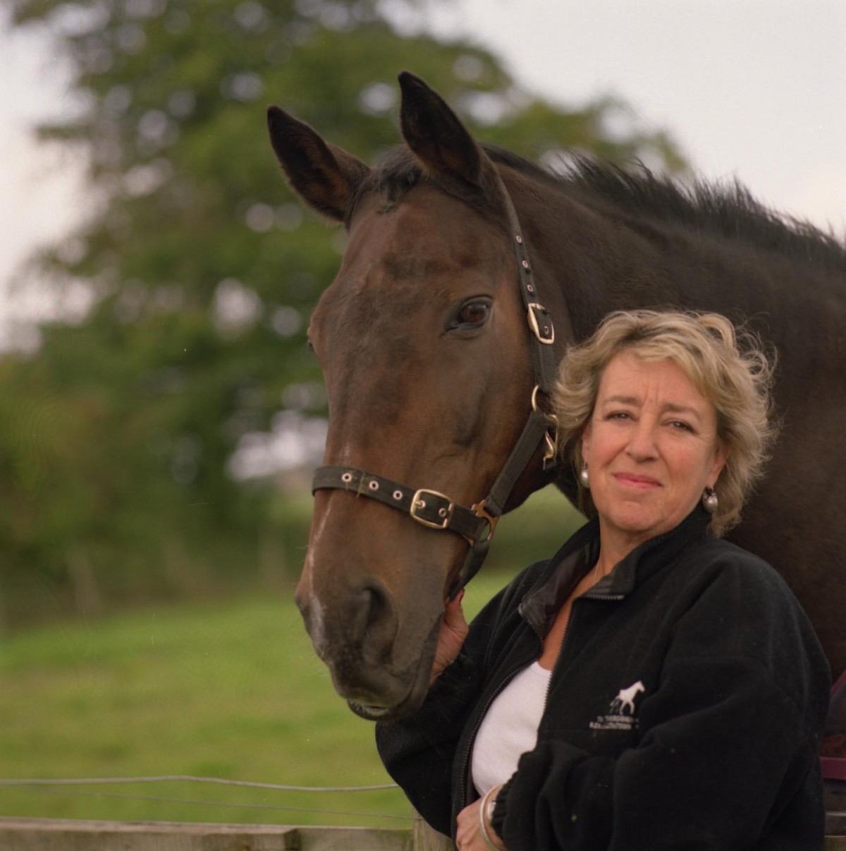 Hallo Dandy at TRC – The British Thoroughbred Retraining Centre (BTRC)