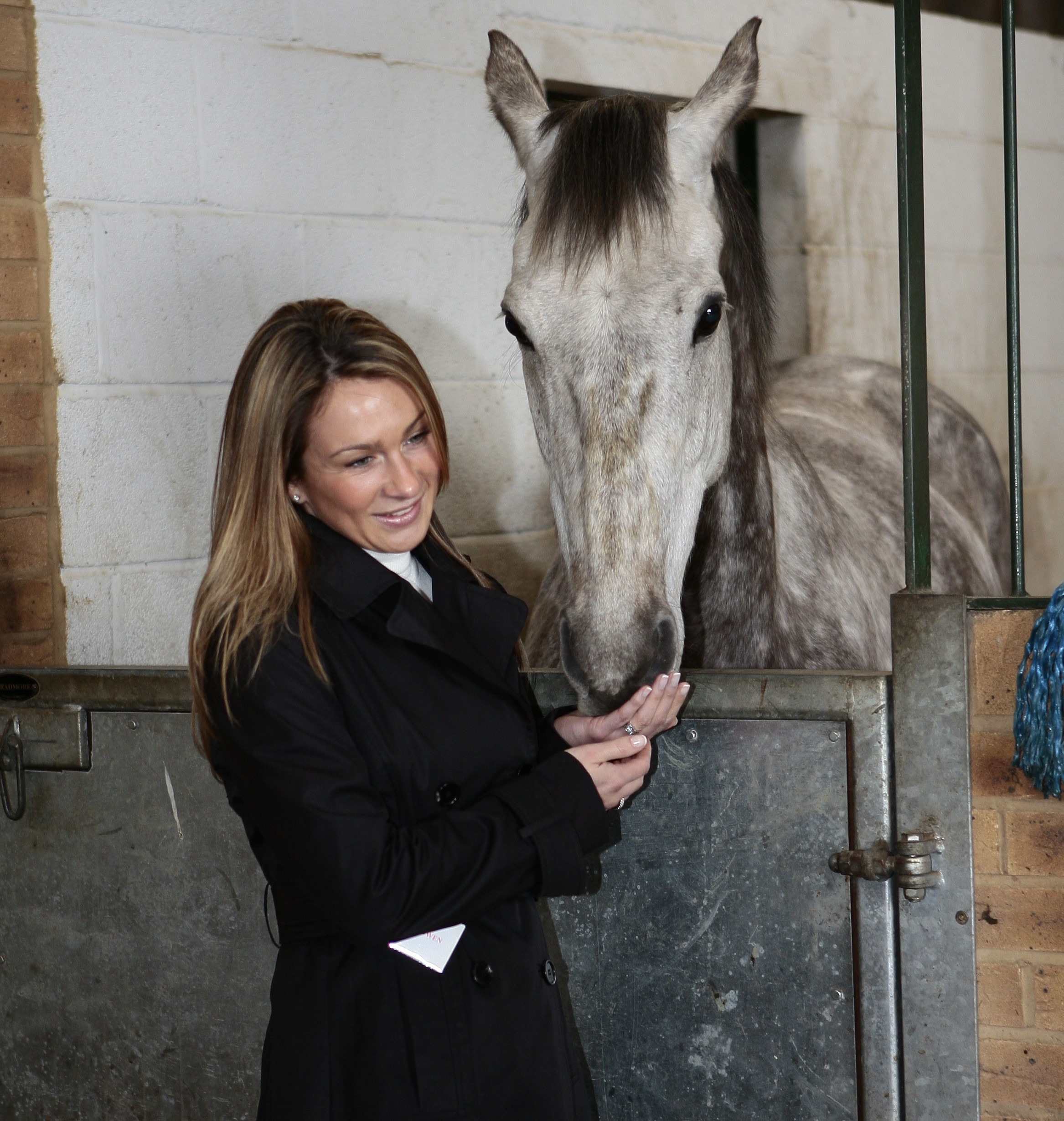 Patron, Ambassadors and Trustees – The British Thoroughbred Retraining Centre (BTRC)