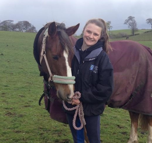 Work Placements & Visits – The British Thoroughbred Retraining Centre ...