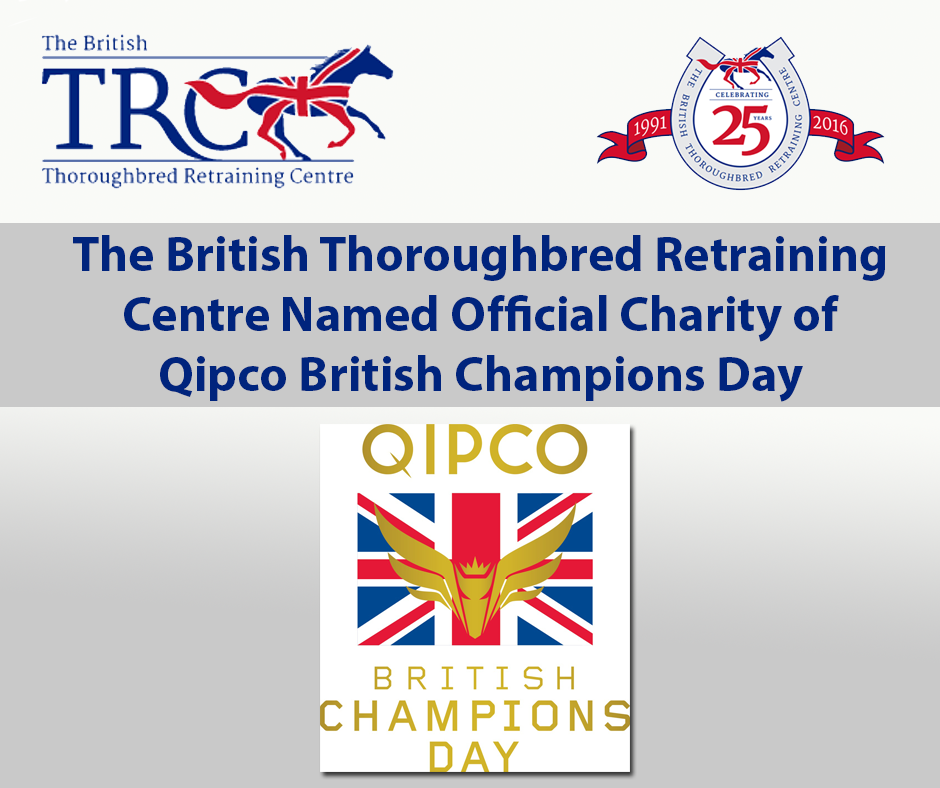 British Thoroughbred Retraining Centre named as official charity ...