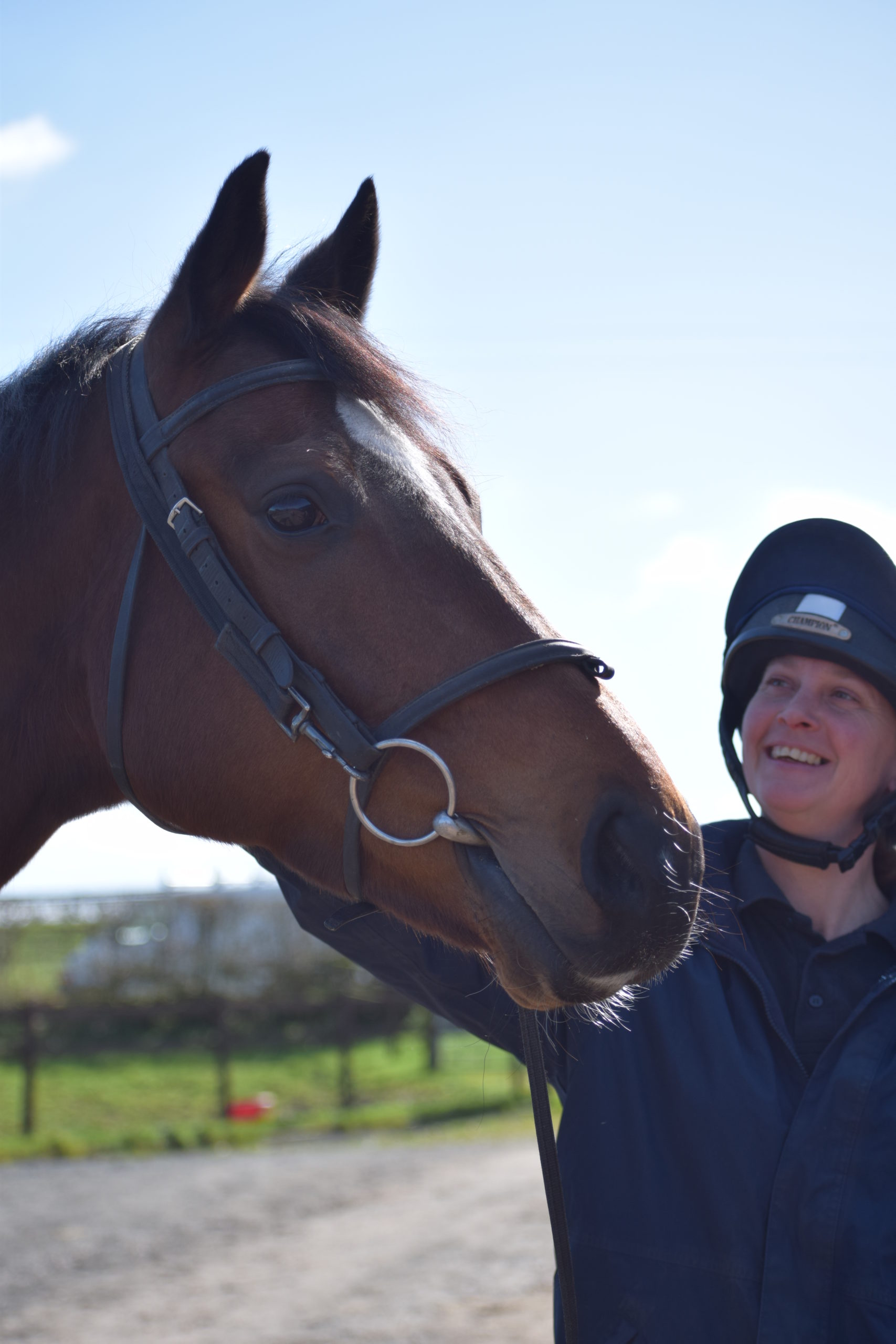 How to Help – The British Thoroughbred Retraining Centre (BTRC)