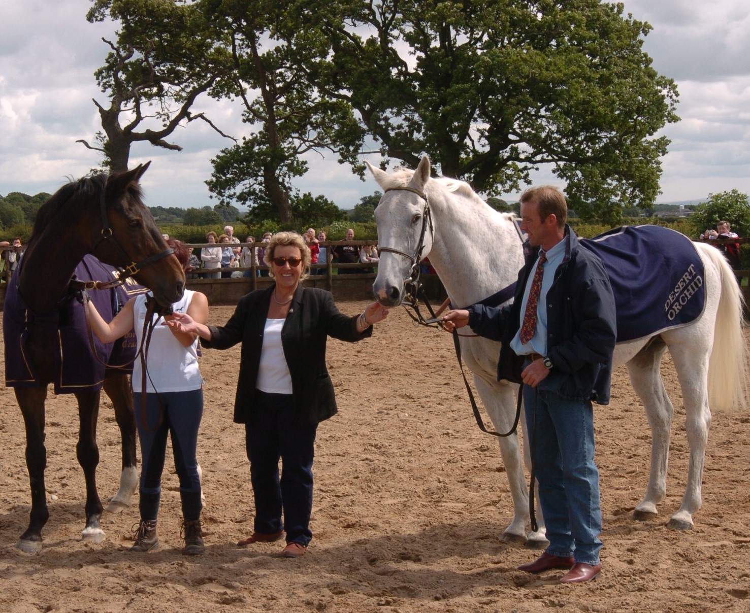 Celebrating 30 Years of BTRC – The British Thoroughbred Retraining ...