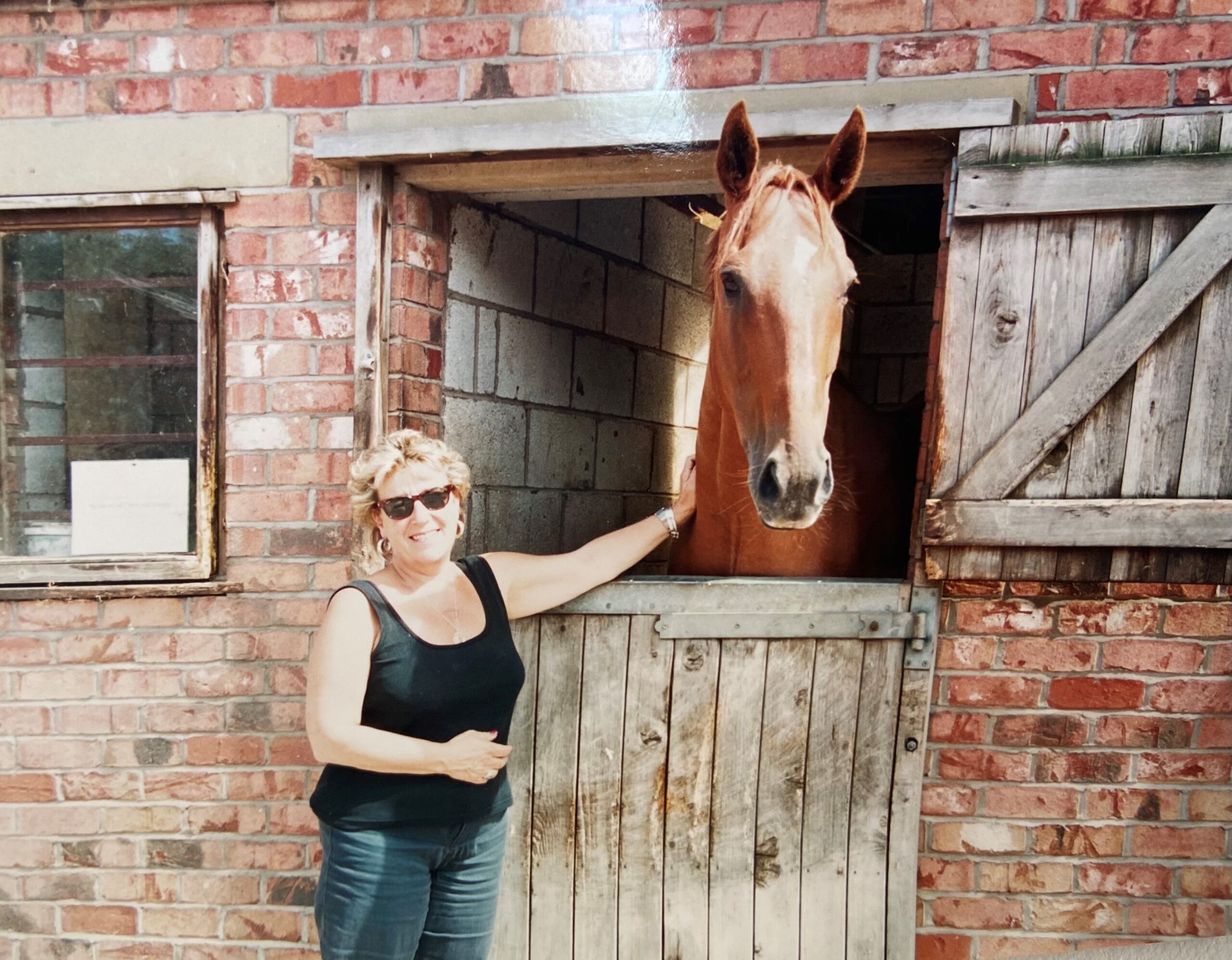 Celebrating 30 Years of BTRC – The British Thoroughbred Retraining ...
