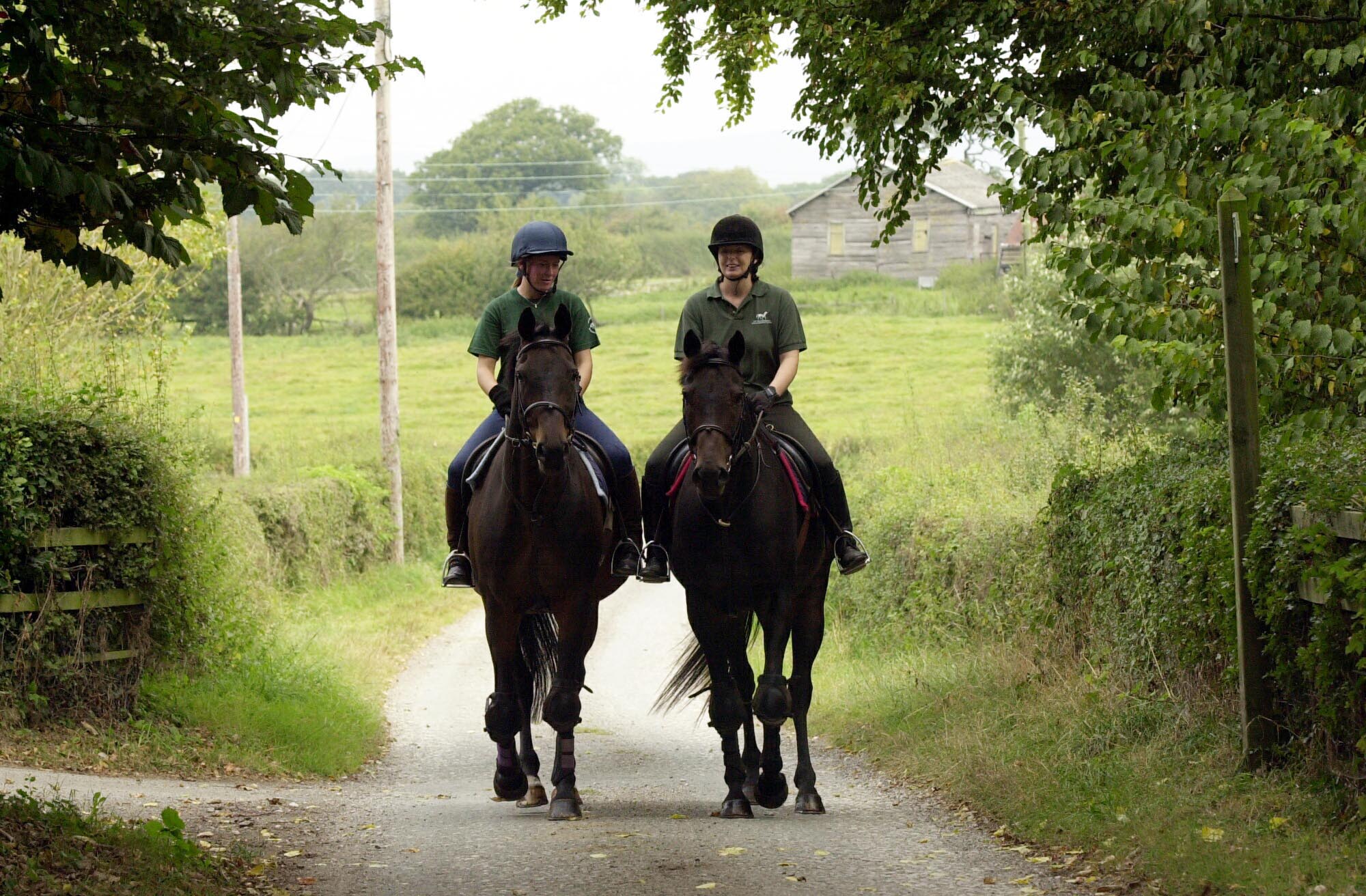 Celebrating 30 Years of BTRC – The British Thoroughbred Retraining ...