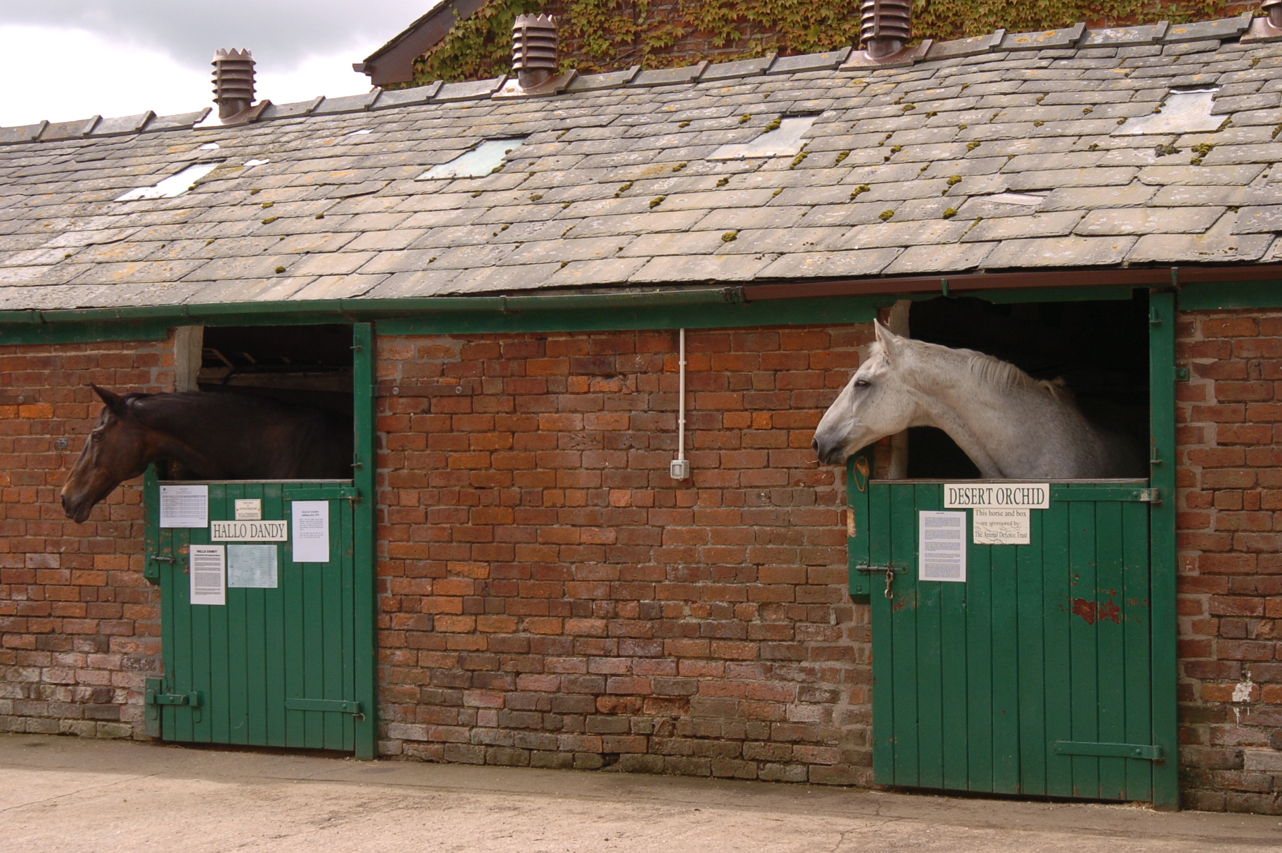 Celebrating 30 Years of BTRC – The British Thoroughbred Retraining ...