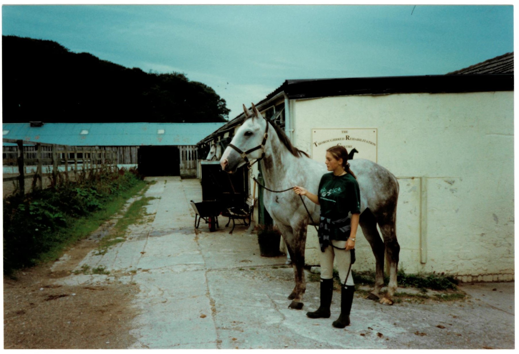 Celebrating 30 Years of BTRC – The British Thoroughbred Retraining ...