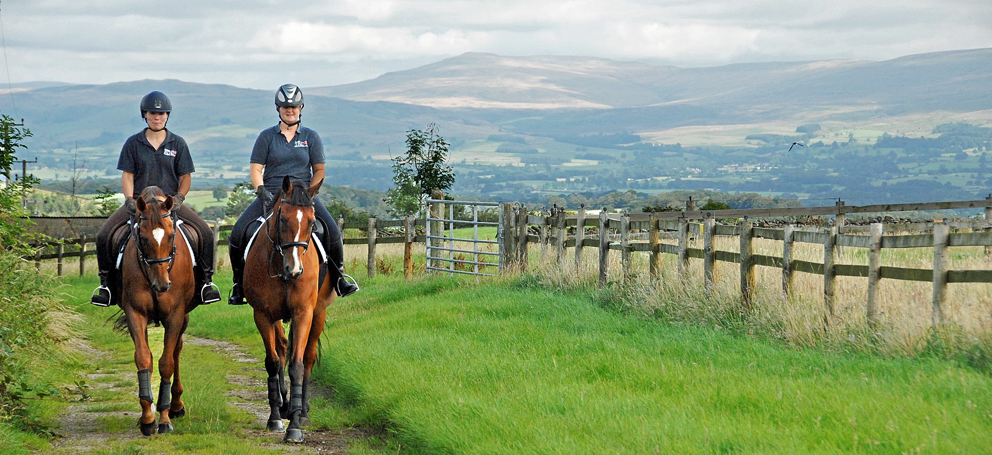 Retraining – The British Thoroughbred Retraining Centre (BTRC)