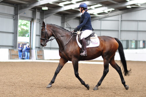 Retraining – The British Thoroughbred Retraining Centre (BTRC)