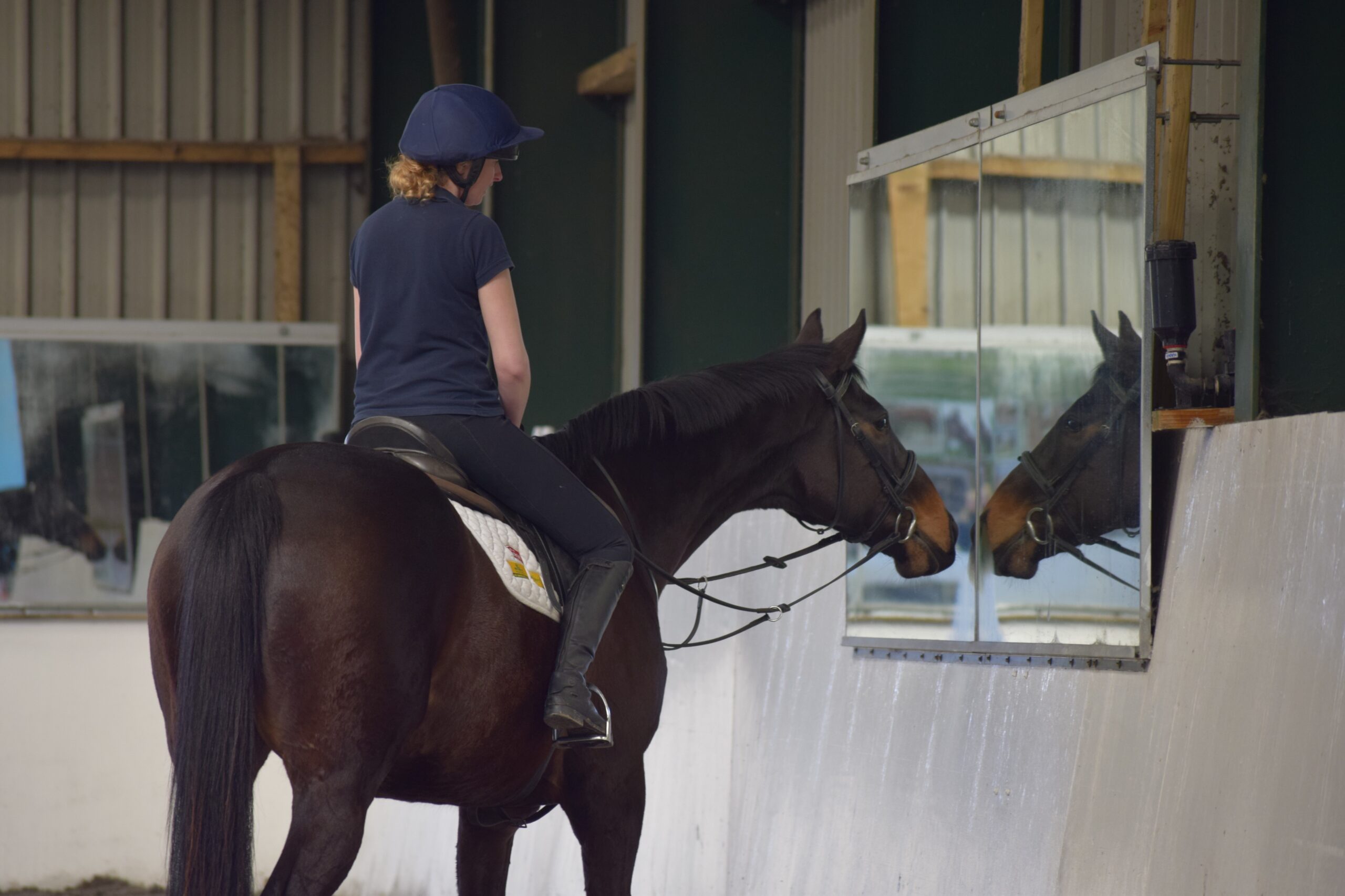 Retraining – The British Thoroughbred Retraining Centre (BTRC)