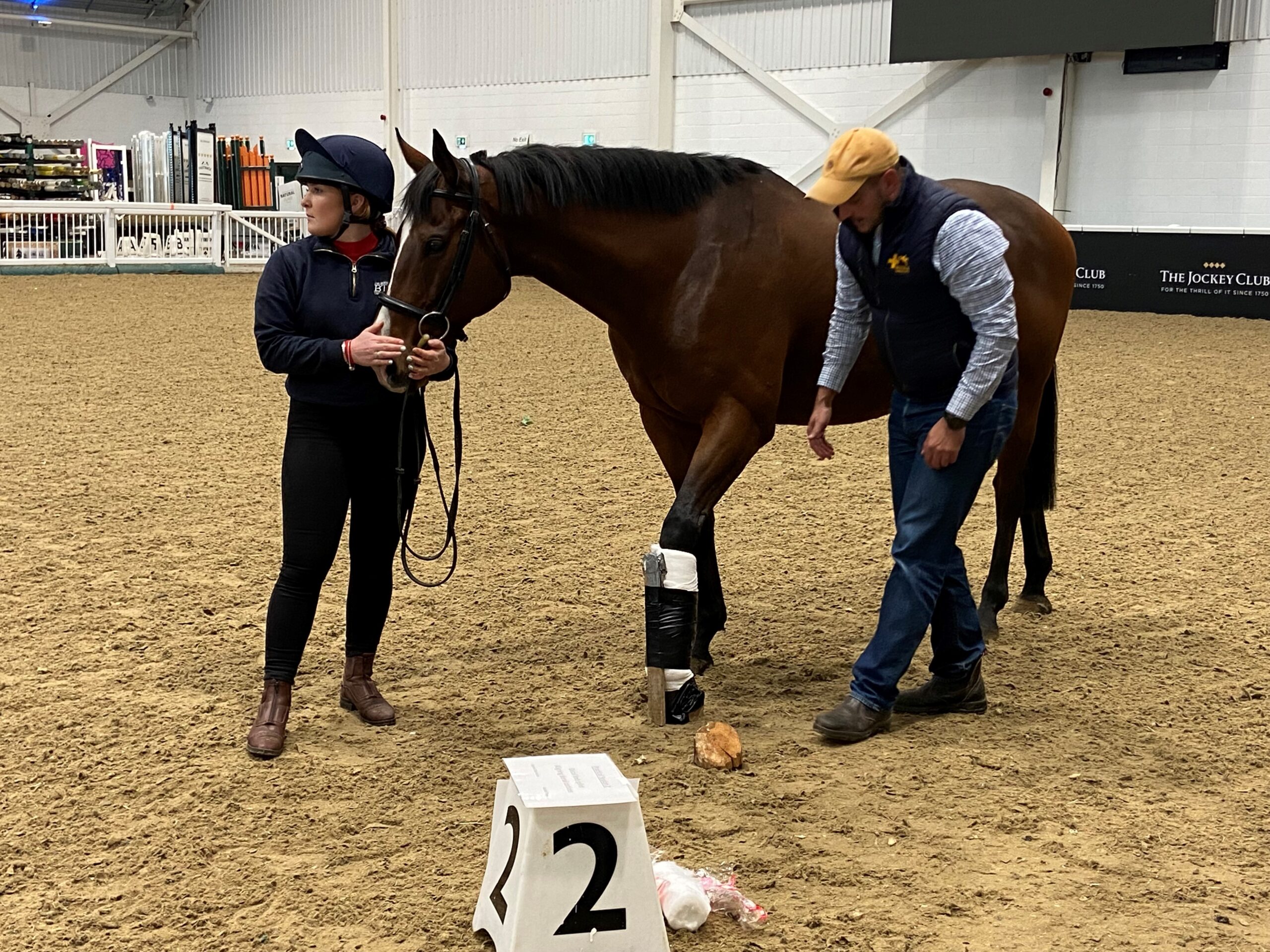 Helping the Next Generation of Racehorses at the ARVS Casualty Management Seminar – The British ...