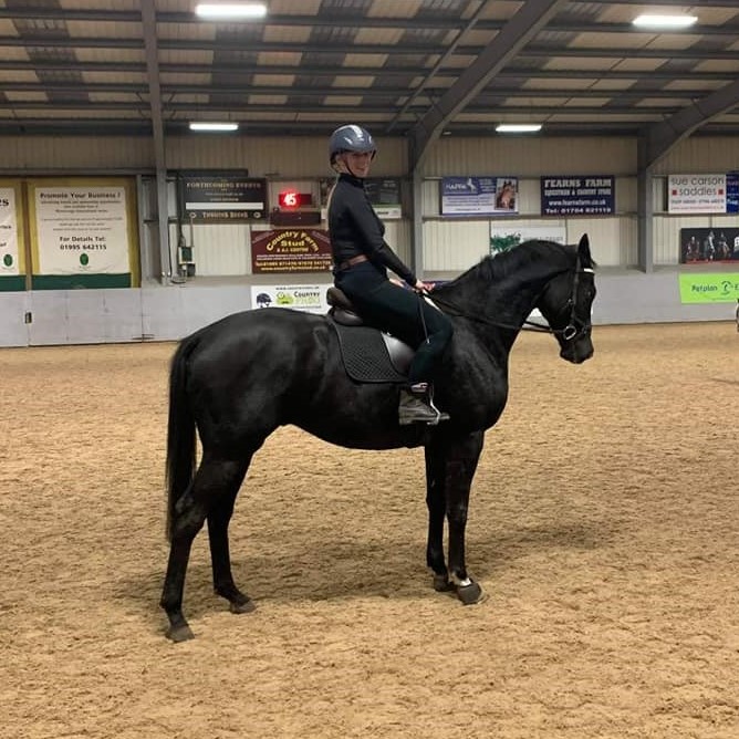 Where are they now? – The British Thoroughbred Retraining Centre (BTRC)