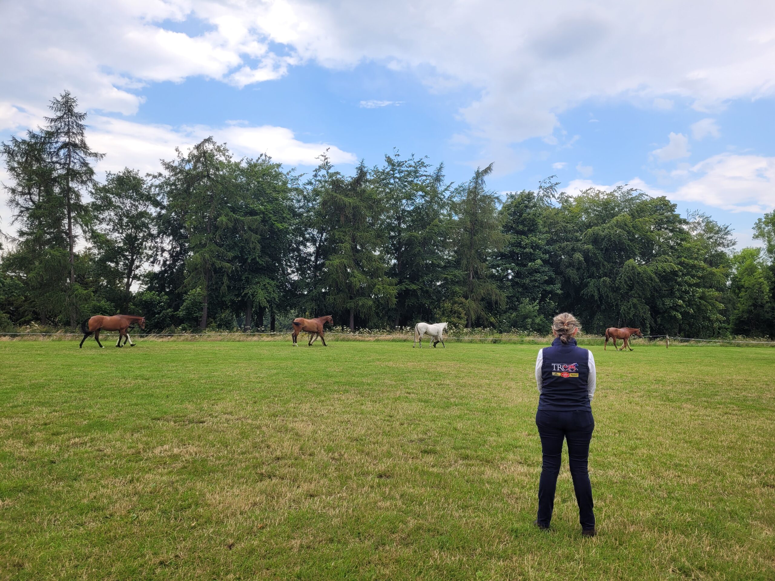 BTRC Support Dalkeith Show with Retrained Racehorse Classes – The ...