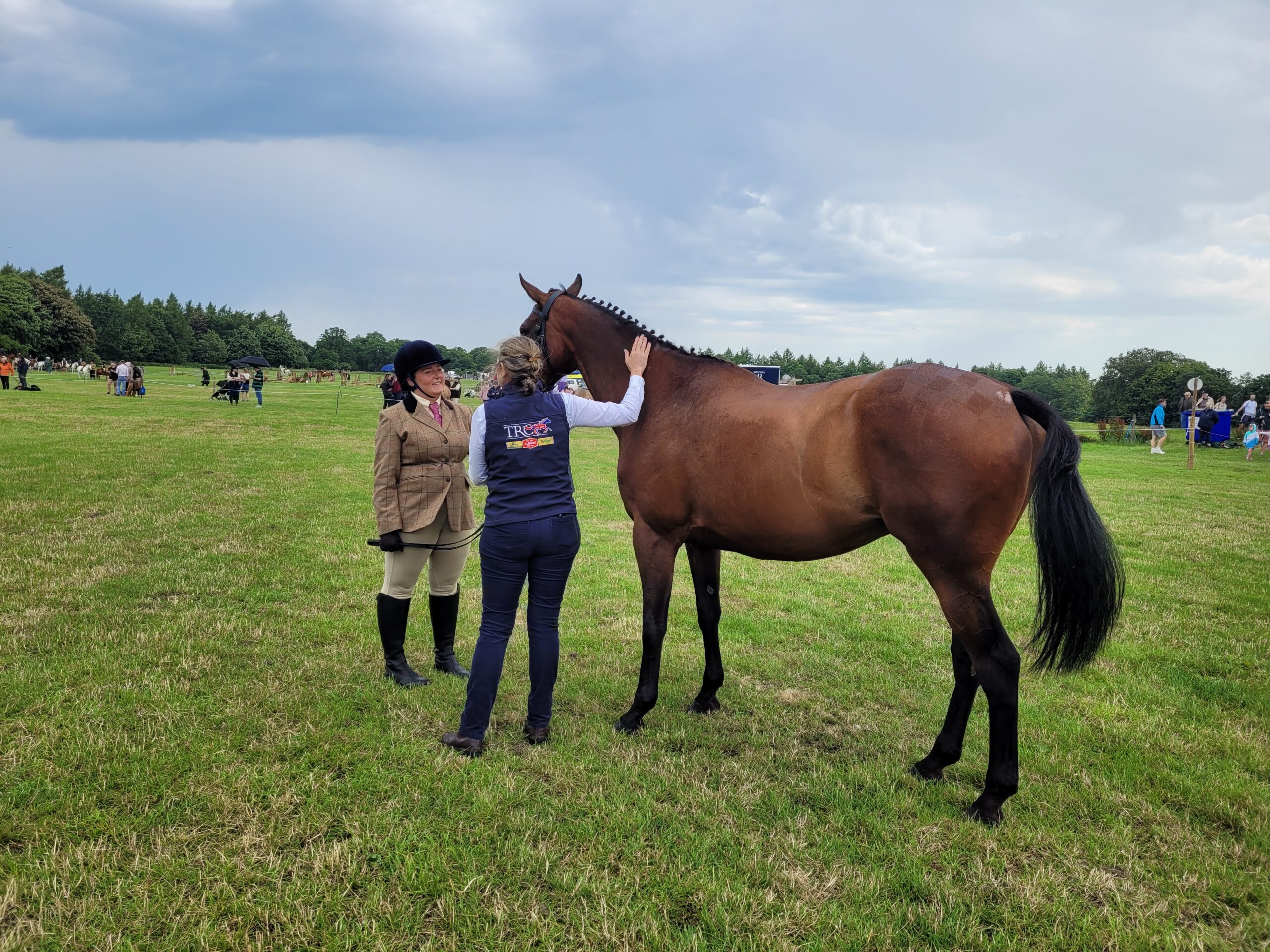 BTRC Support Dalkeith Show with Retrained Racehorse Classes – The ...