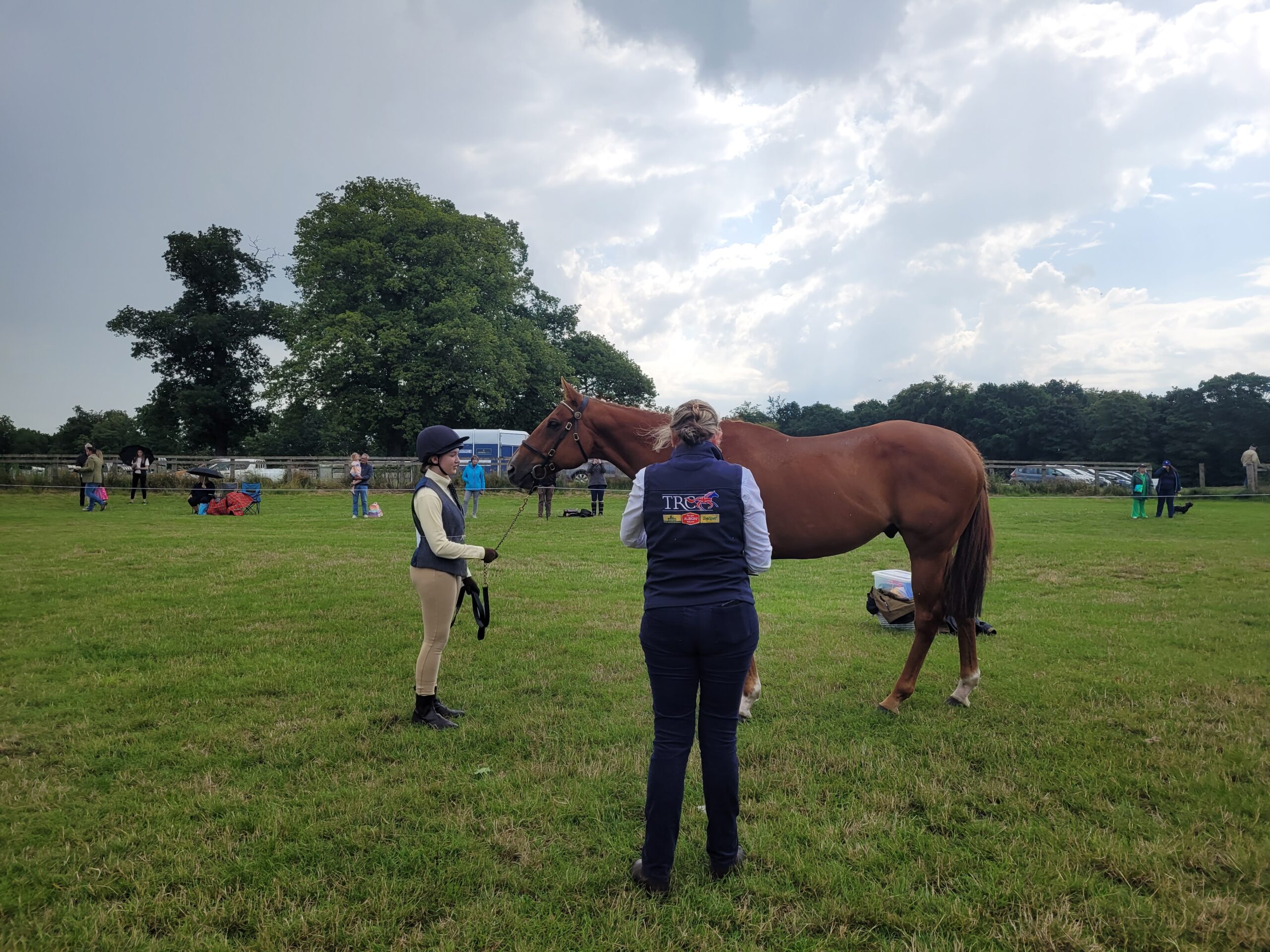 BTRC Support Dalkeith Show with Retrained Racehorse Classes – The ...