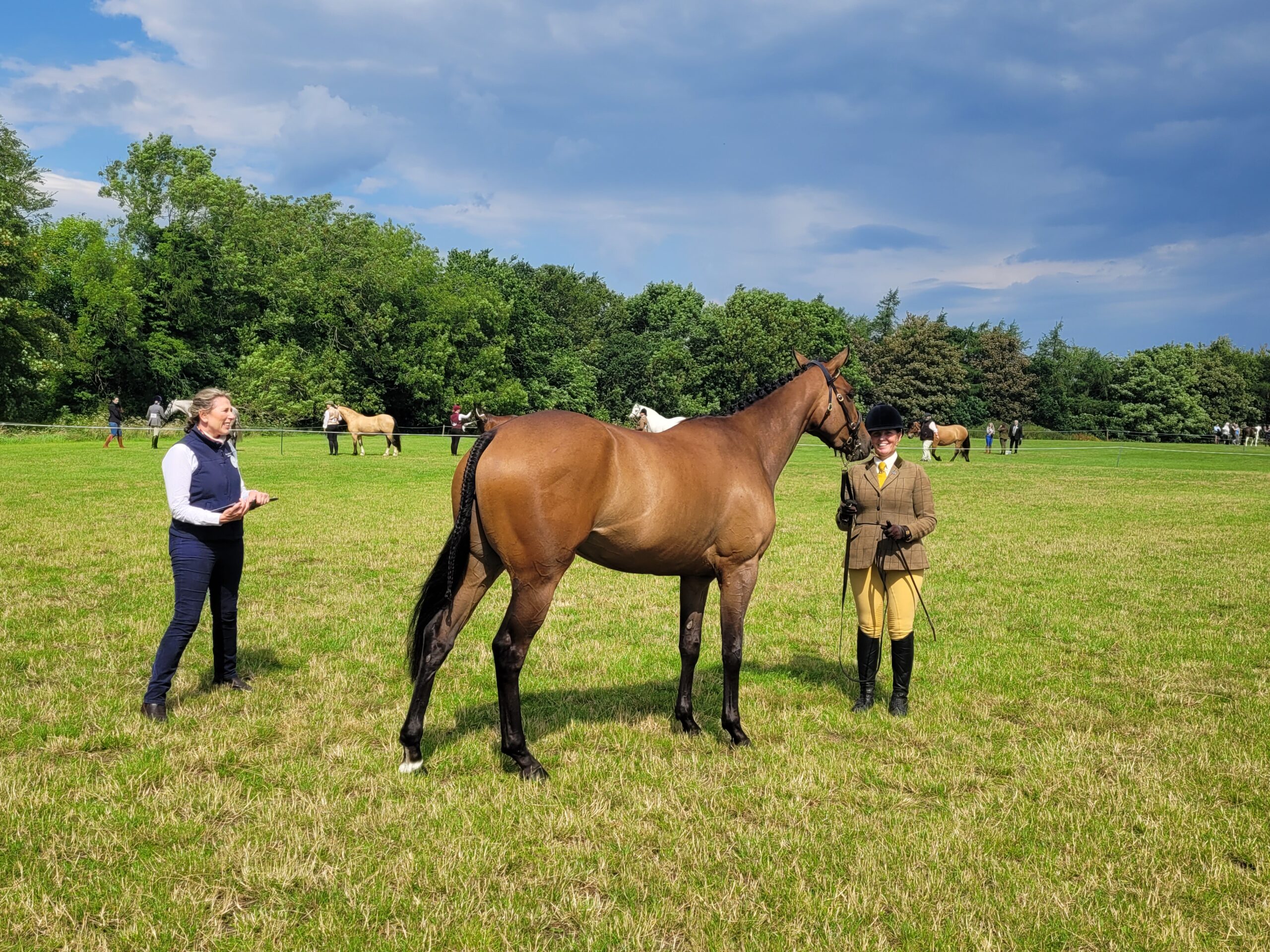 BTRC Support Dalkeith Show with Retrained Racehorse Classes – The ...