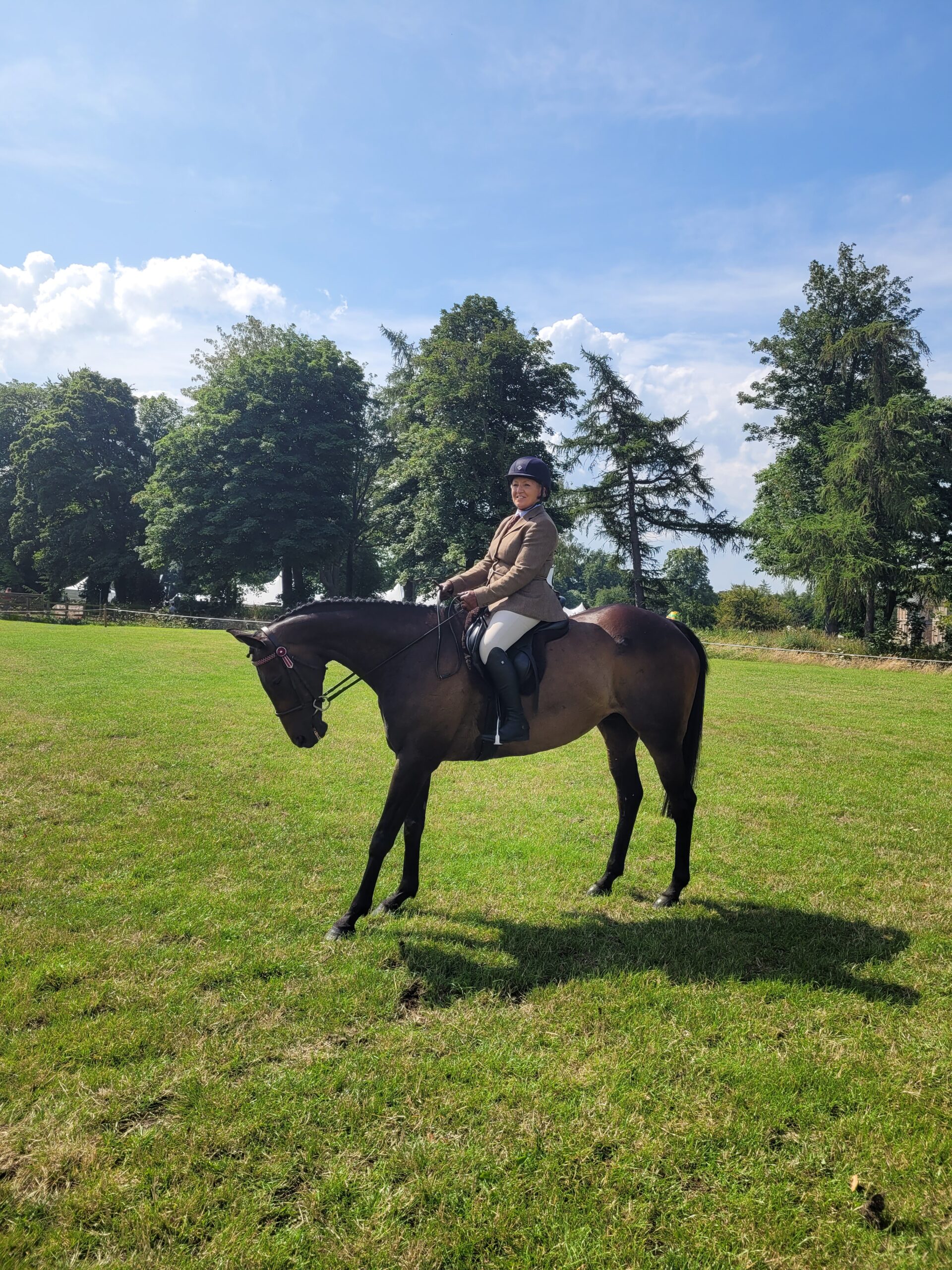 BTRC Support Dalkeith Show with Retrained Racehorse Classes – The ...