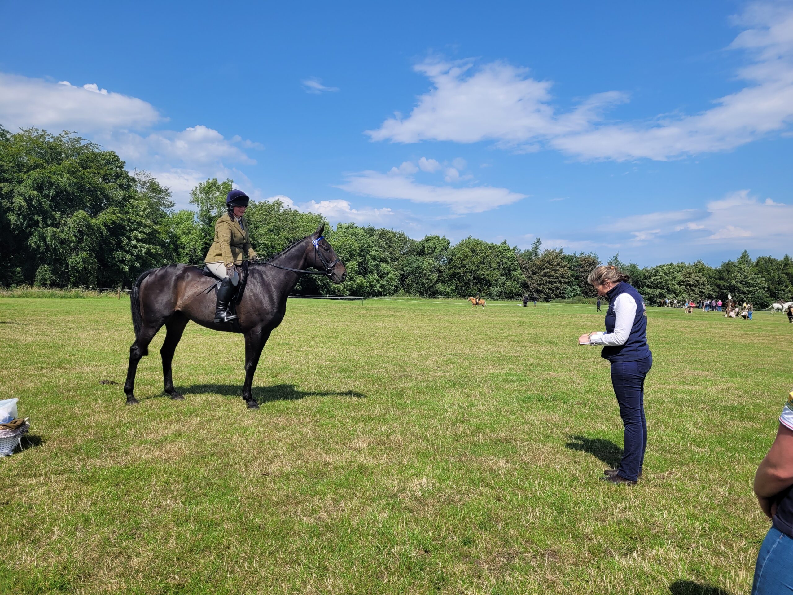 BTRC Support Dalkeith Show with Retrained Racehorse Classes – The ...