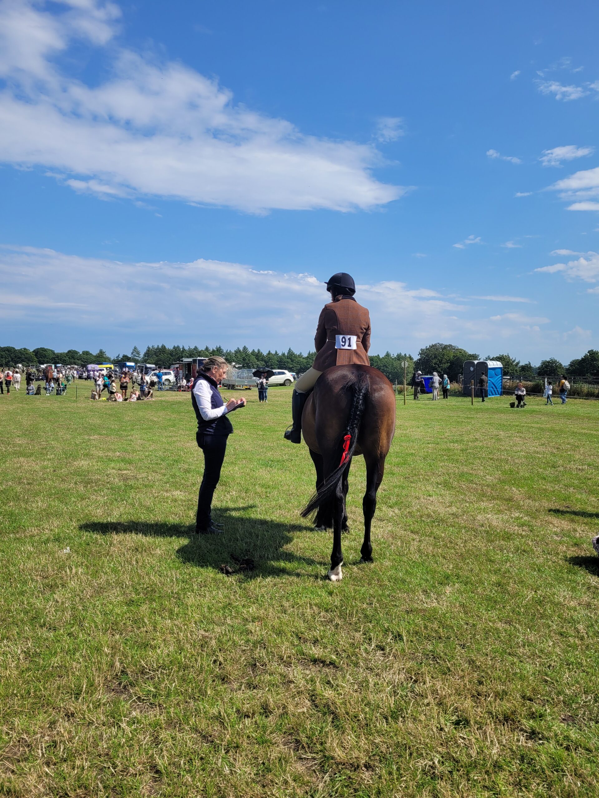 BTRC Support Dalkeith Show with Retrained Racehorse Classes – The ...