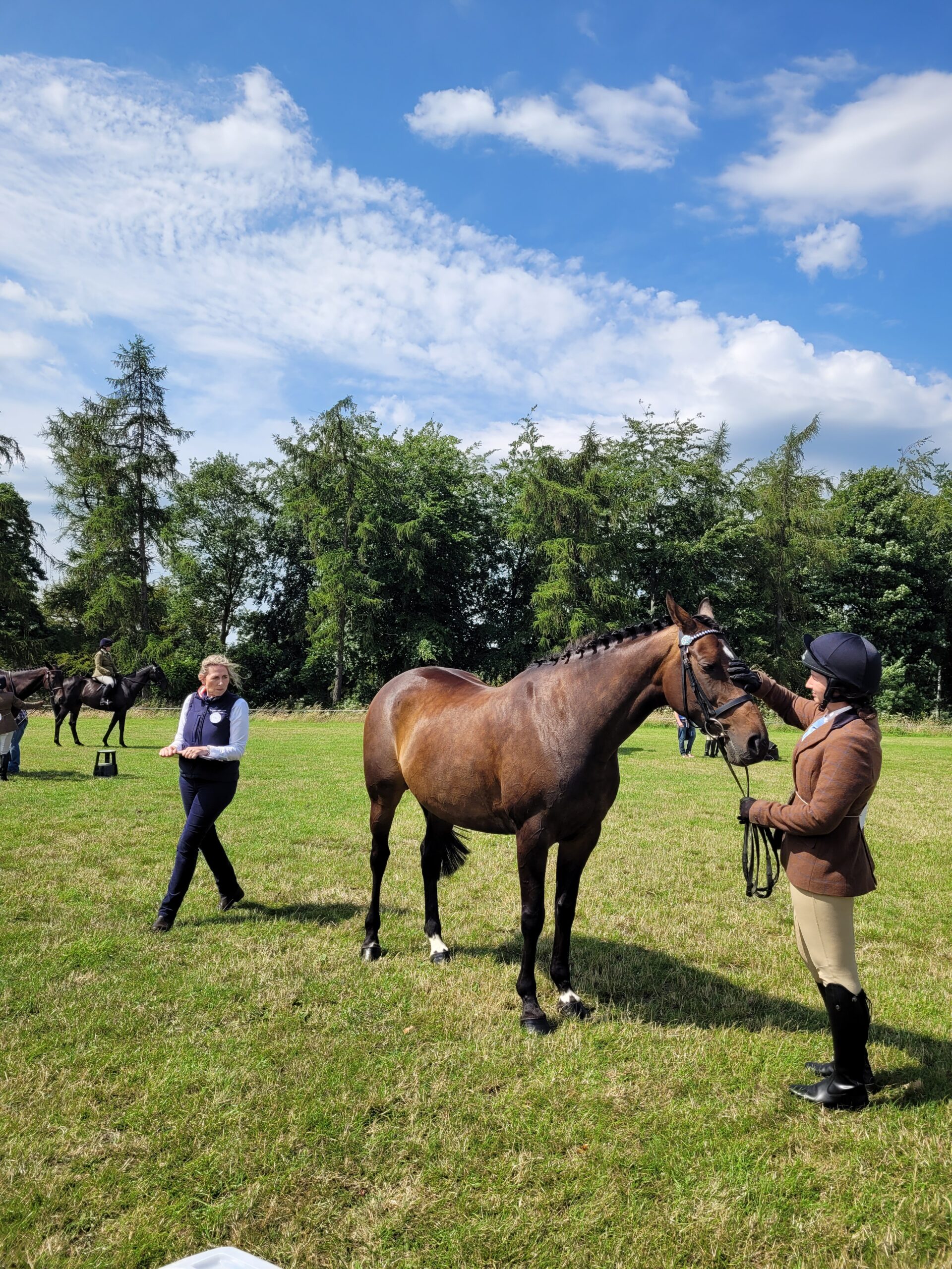 BTRC Support Dalkeith Show with Retrained Racehorse Classes – The ...