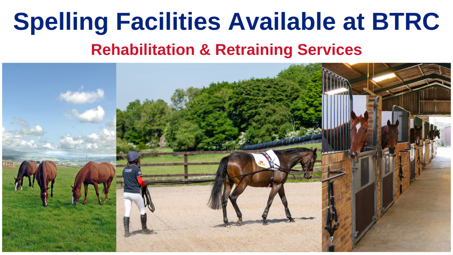 Spelling at BTRC – The British Thoroughbred Retraining Centre (BTRC)